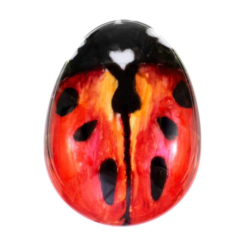 Detangling Ladybug Brush - PBUG | Kent Brushes